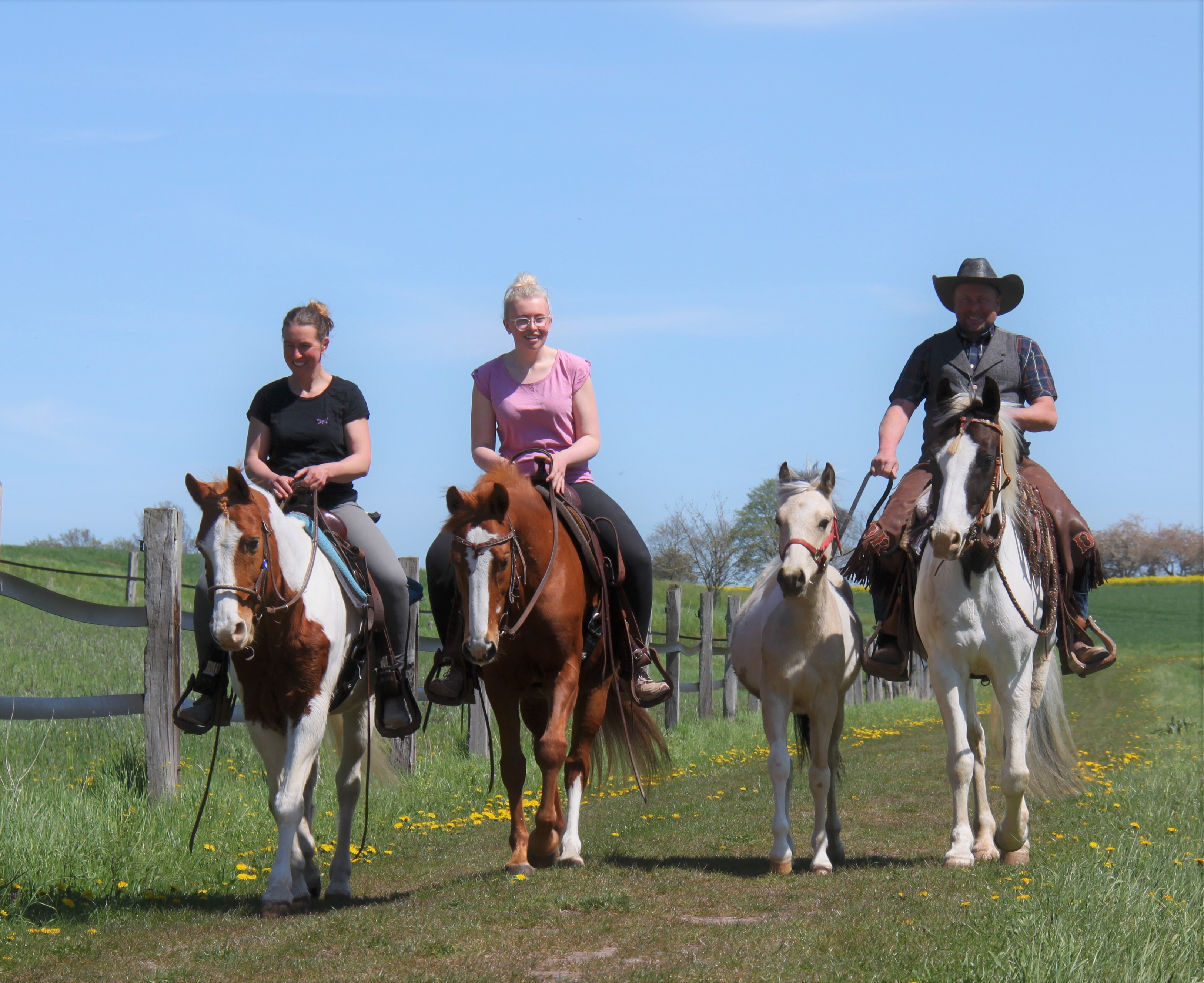 Dream Ranch - Die Adresse für Freizeit- & Westernreiter - Startseite